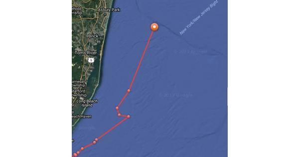 Great White Mary Lee Tracked Off Belmar, Full Speed Ahead Northward ...