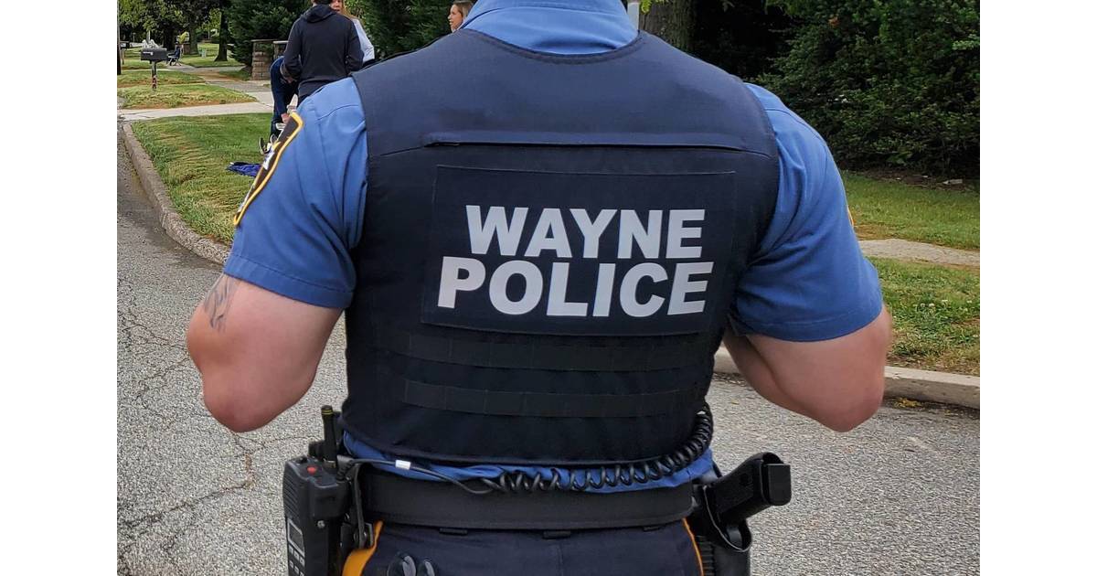 Wayne Man Taken for Nearly $30K in Car Sale Con – Police Arrest ...