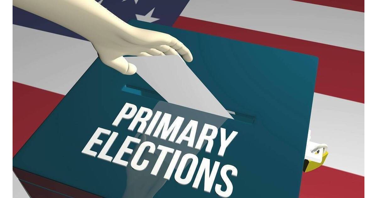 Primary 2025: Unofficial Election Results for Contested Races in ...