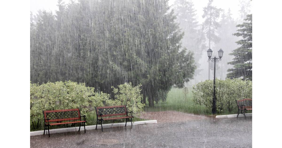 Close to 12 Inches of Rain Fell in Coral Springs During This Week’s ...