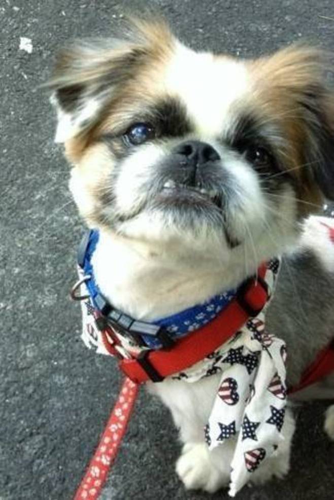 Nutley, NJ Local News | TAPinto