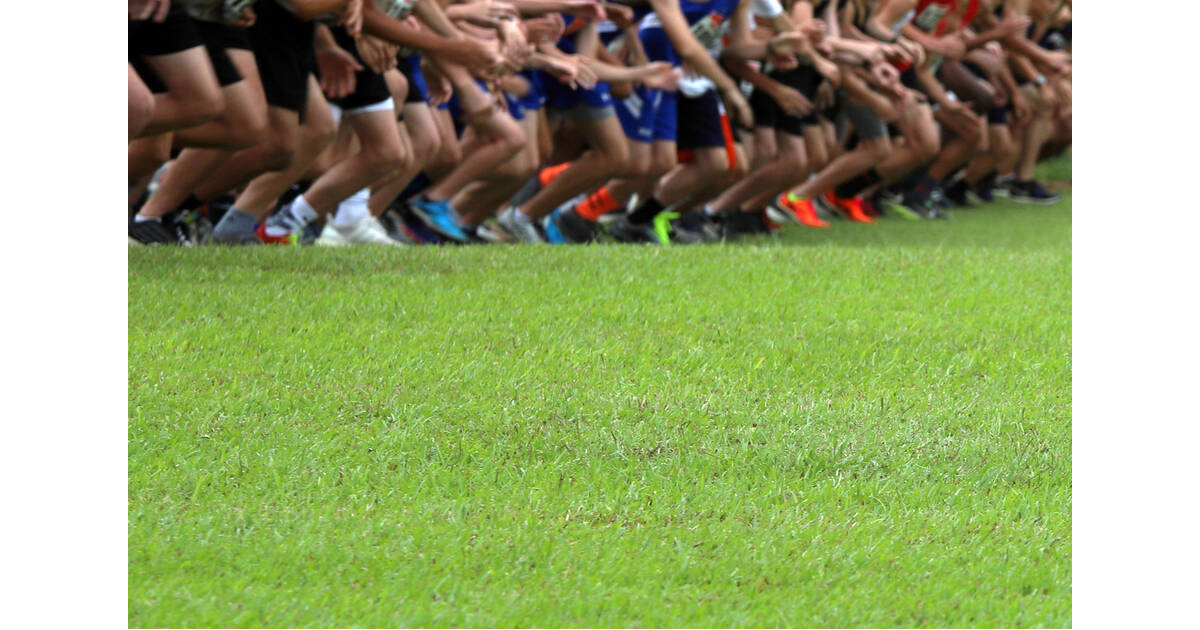Dayton H.S. Cross-Country Runner Finishes in Top 10 in Union County ...