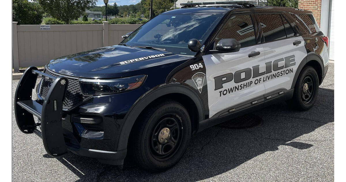 Livingston Police Respond to Vehicle Theft, Home Invasion and ...