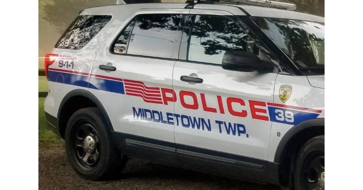 Middletown Twp. Police Department : Details of Police Activities and ...