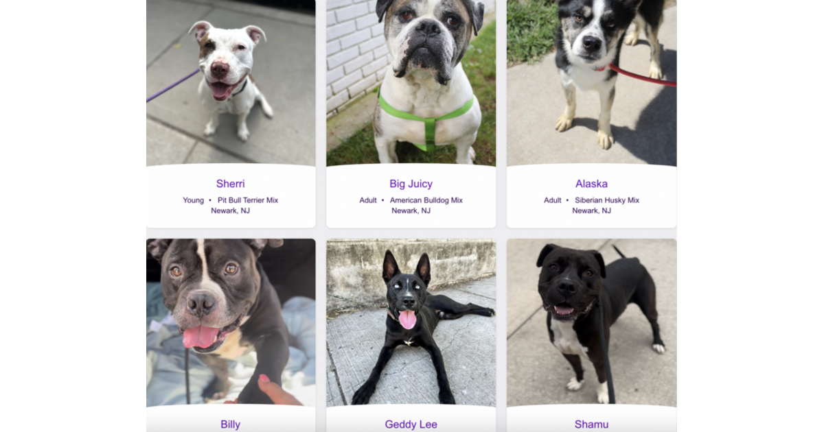 No More Space — AHS Newark Shelter Desperately Needs Foster Homes ...