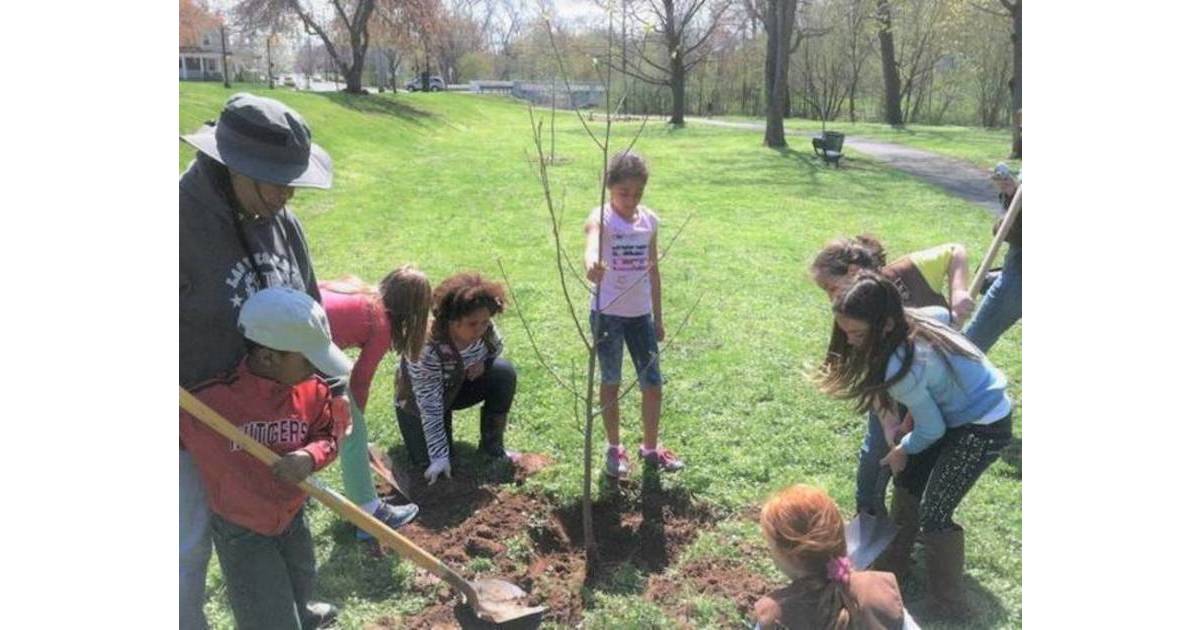 Somerville to Celebrate Earth Day Planting Trees Along Peters Brook ...