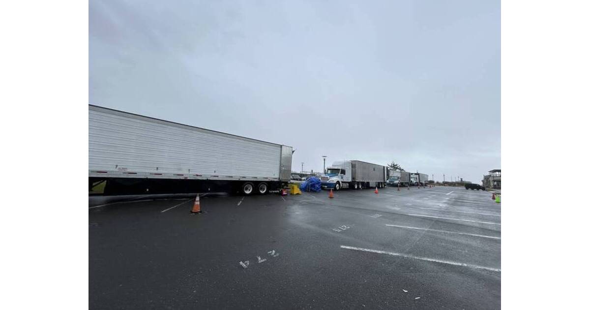 Hollywood Lights Up Asbury Park: Jeremy Allen White Stars as Bruce ...