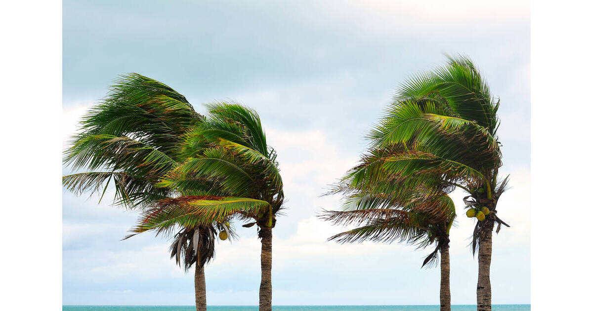 Coconut Creek Now Under Tropic Storm Warning, Flood Watch Continues as ...