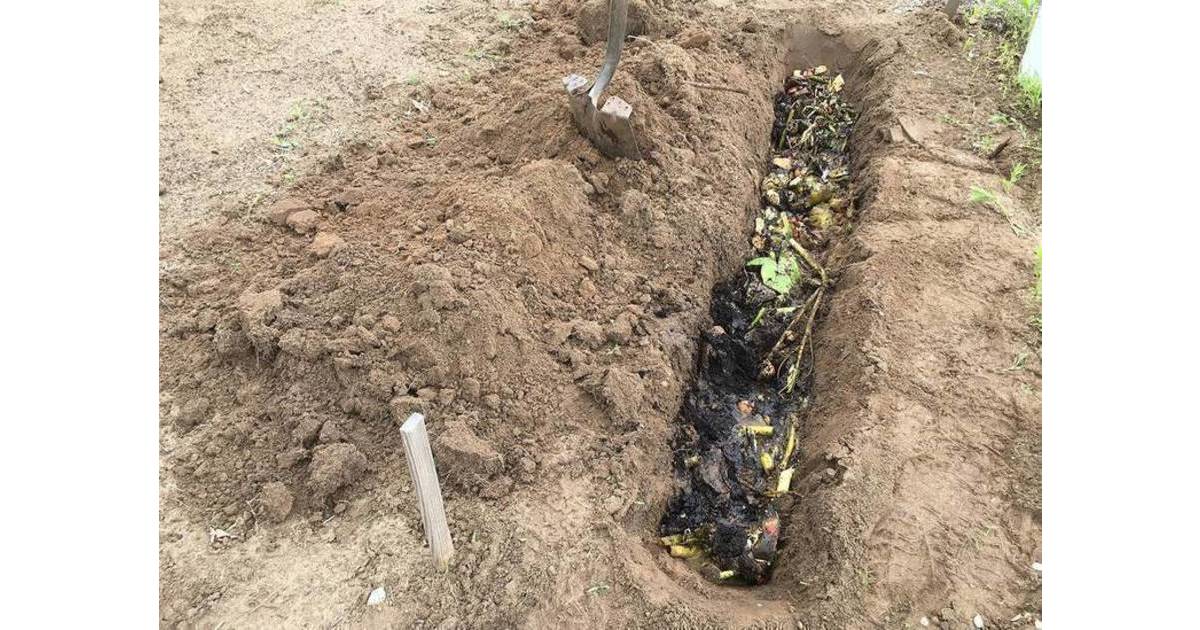 Composting Directly in Your Woodland Park Garden | Passaic Valley, NJ ...