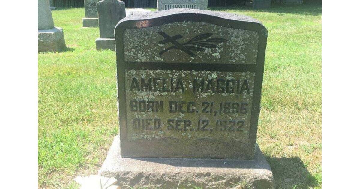 Explore Rosedale Cemetery in October: Guided Walking Tours in Montclair ...